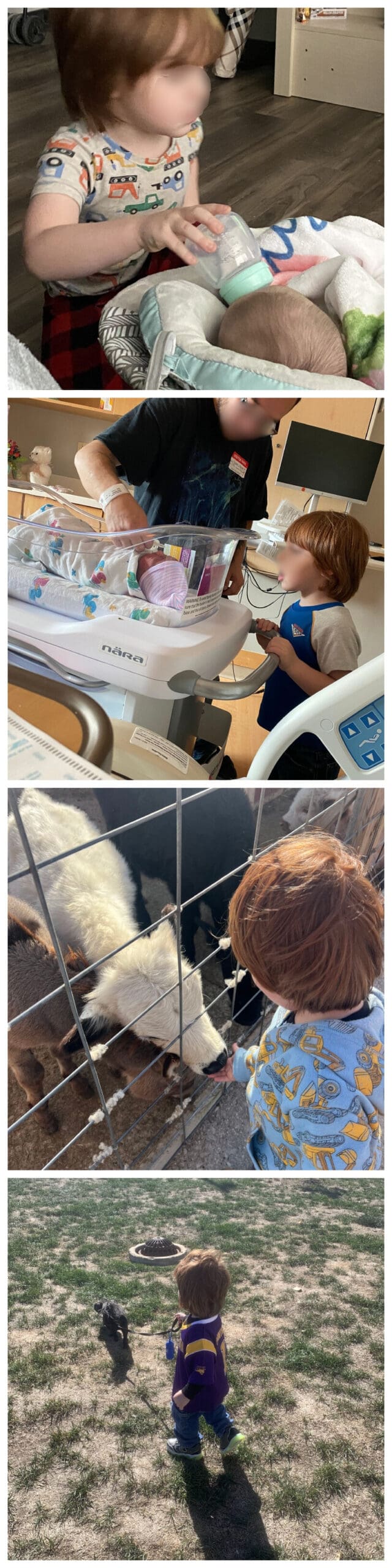 Libby Nelson - Community Choice Credit Union